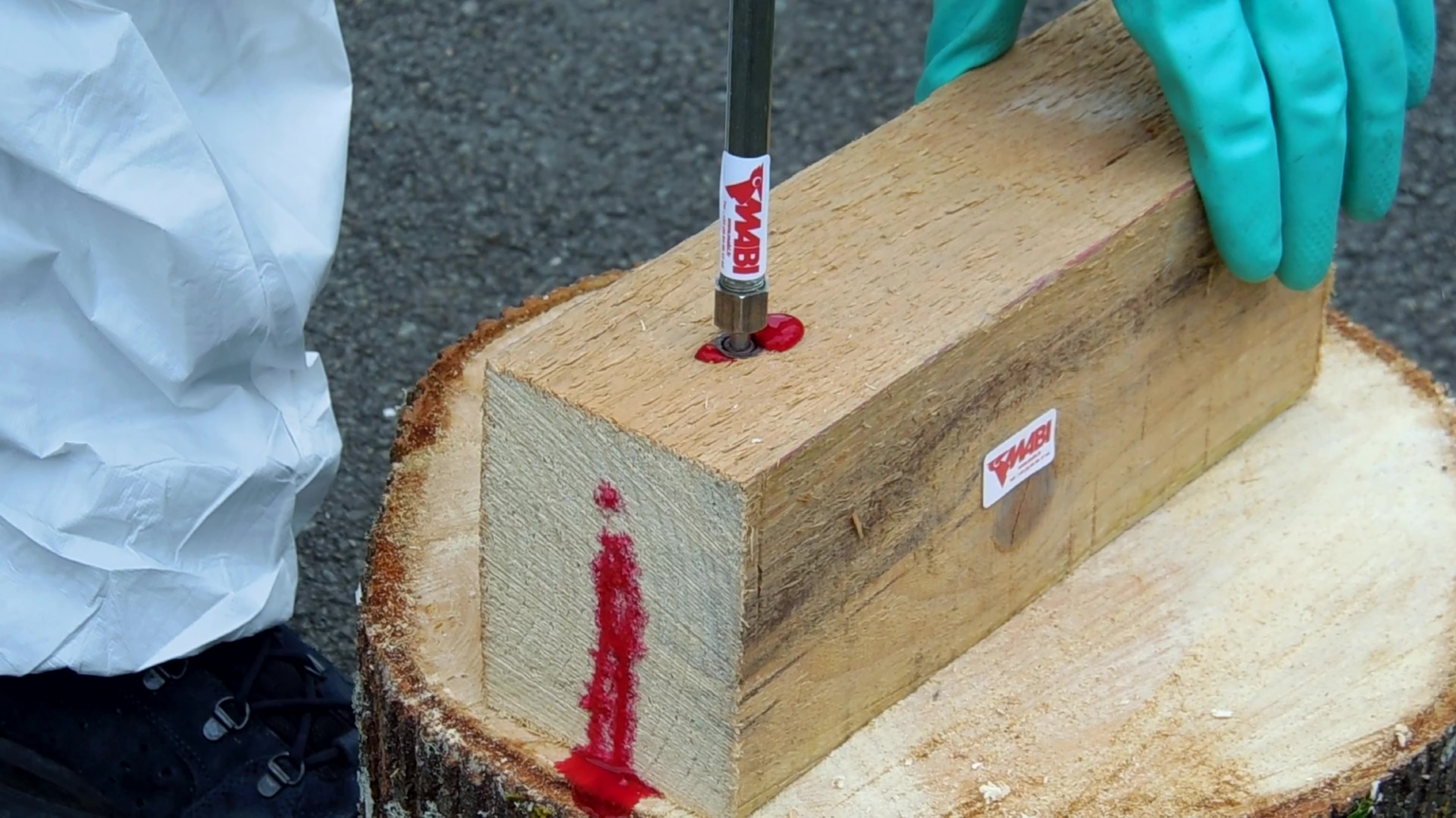 What Are The Most Popular Termite Treatment Methods - MABI USA